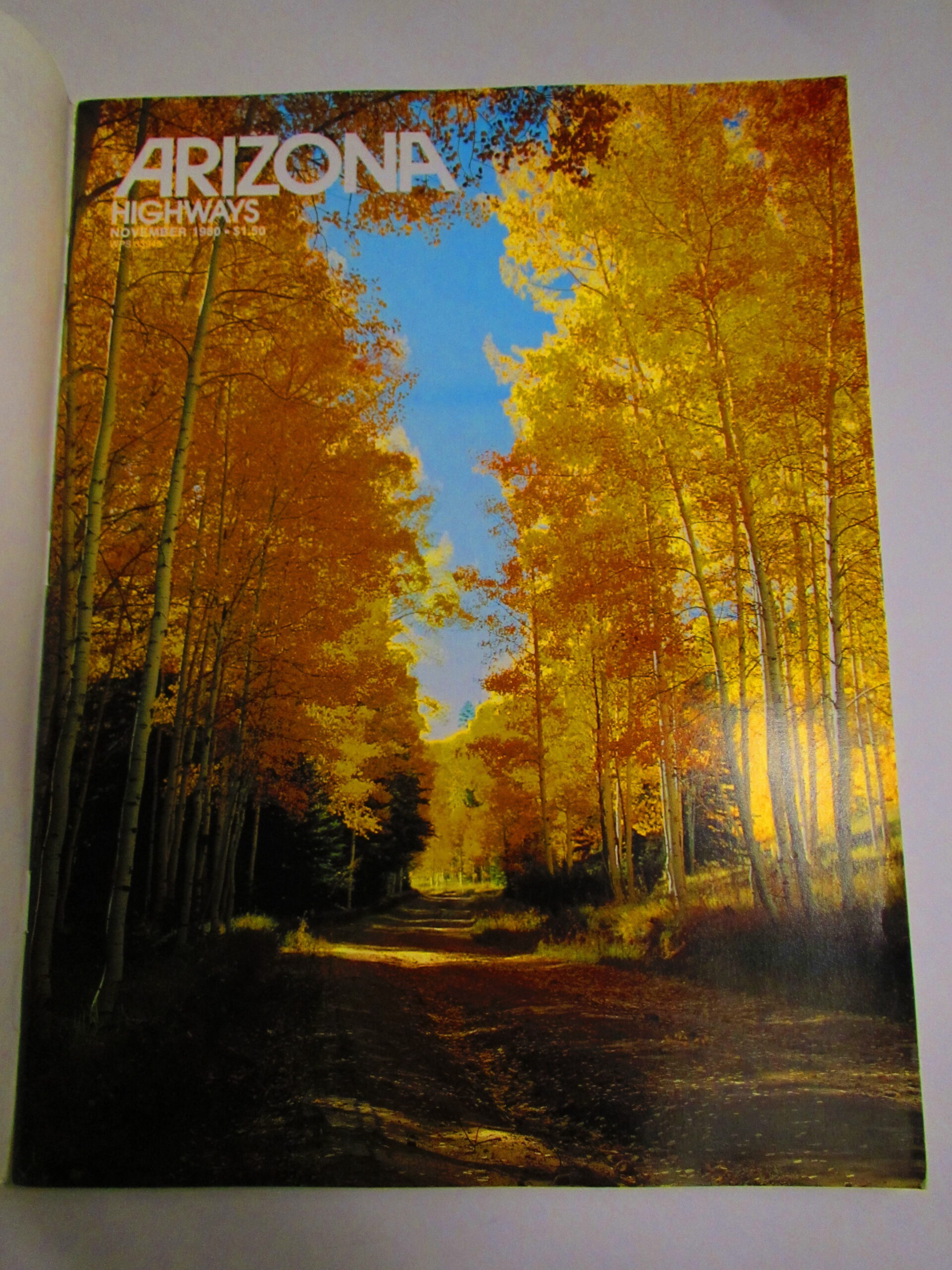 Arizona Highways Magazine November 1980 Roland Reed The Lewis Douglas ...