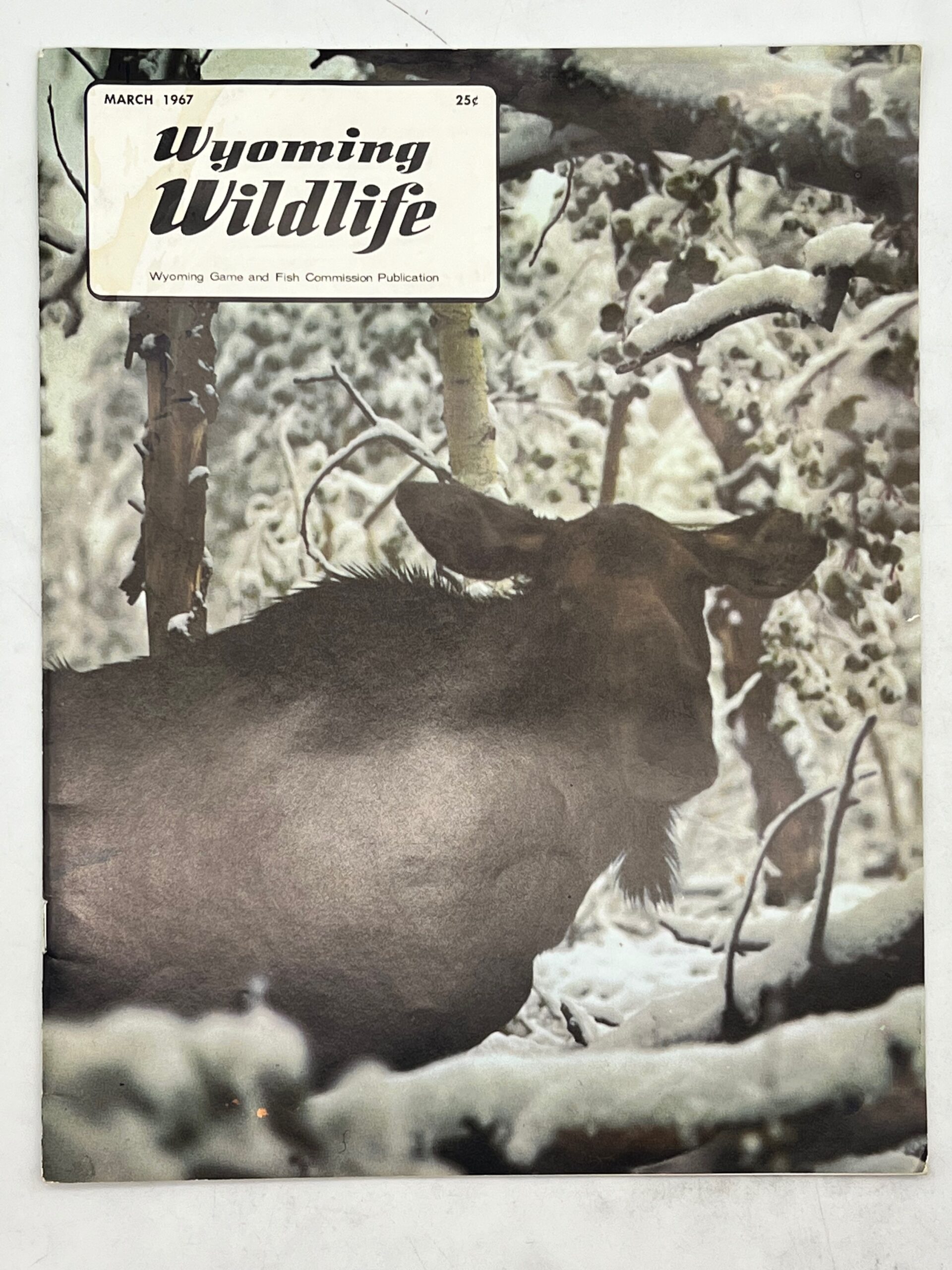 Wyoming Wildlife Magazine March 1967 Cover Artist: George Sura - Cyber ...