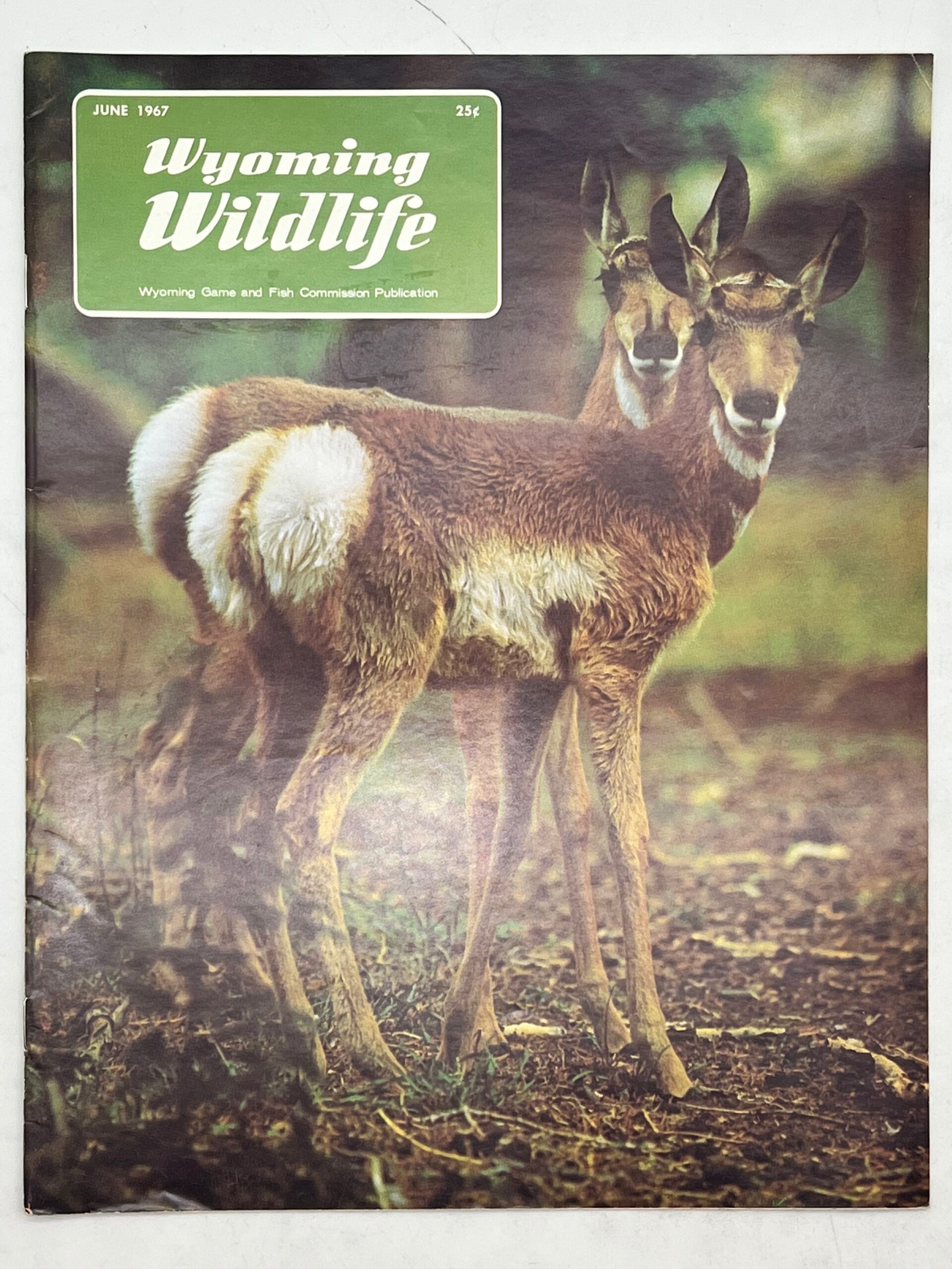 Wyoming Wildlife Magazine June 1967 Cover Artist: George Sura - Cyber ...