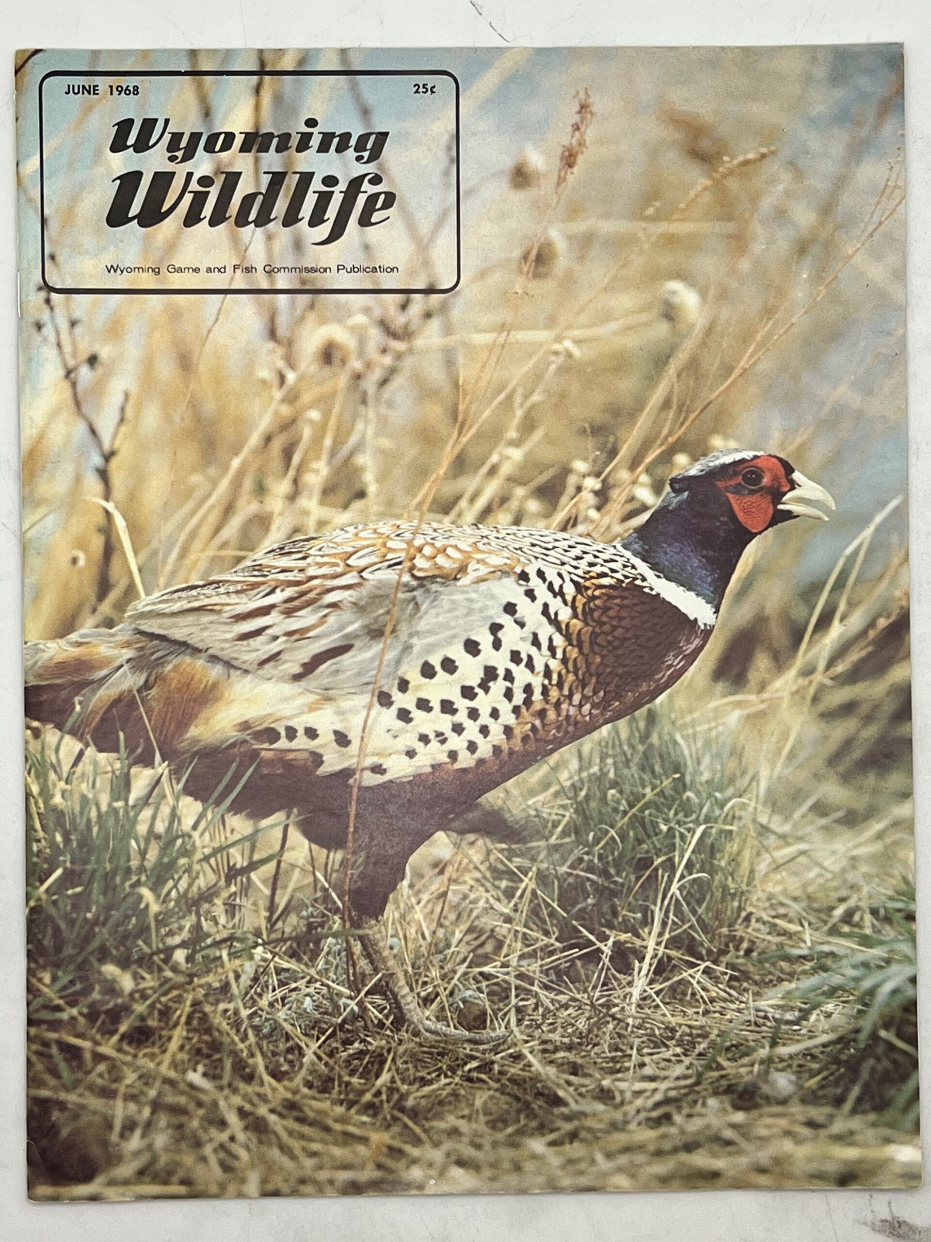 Wyoming Wildlife Magazine June 1968 Cover Artist: Allan Sicks - Cyber ...